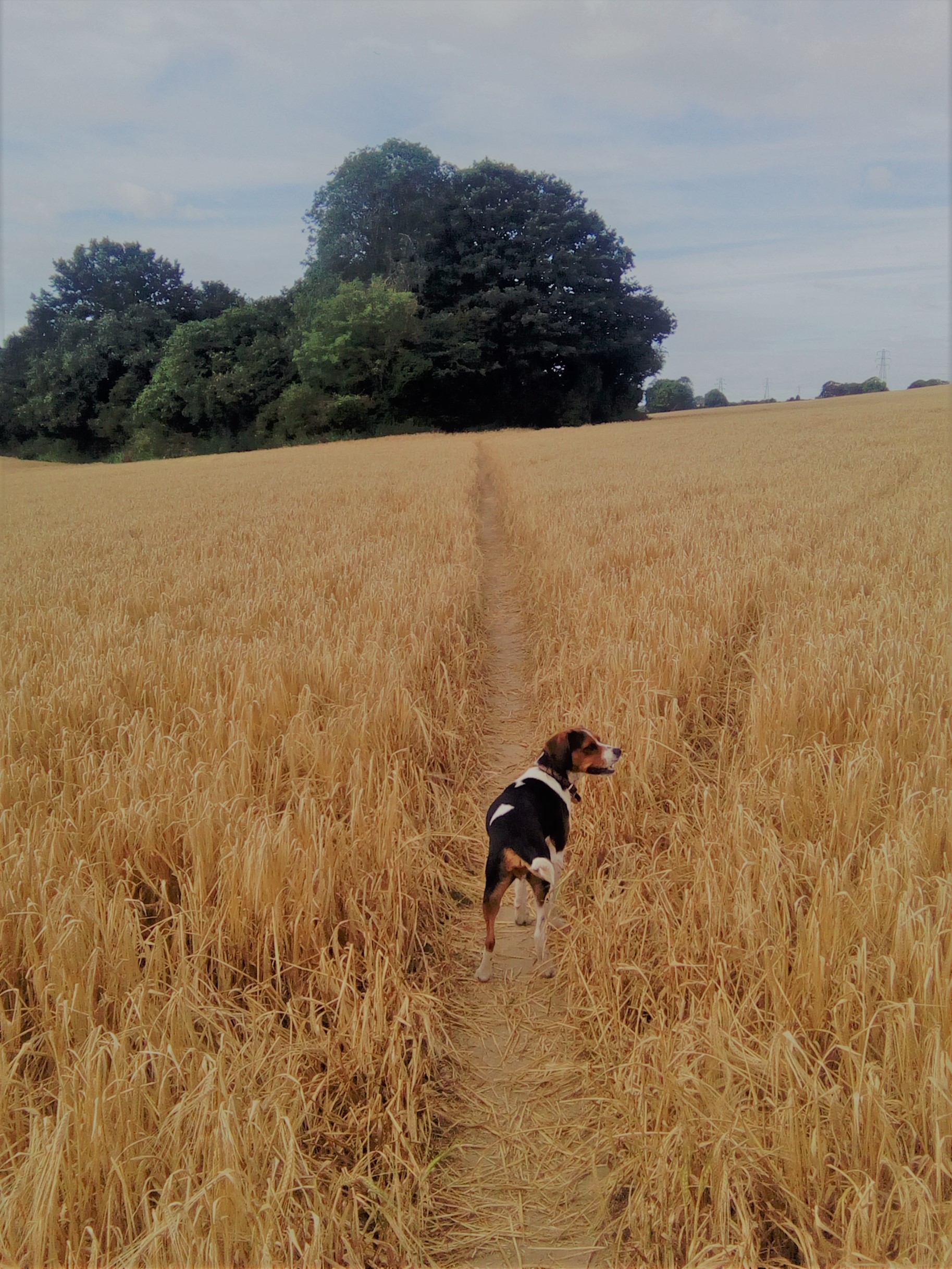 Mercies Unseen – Caroline Greville